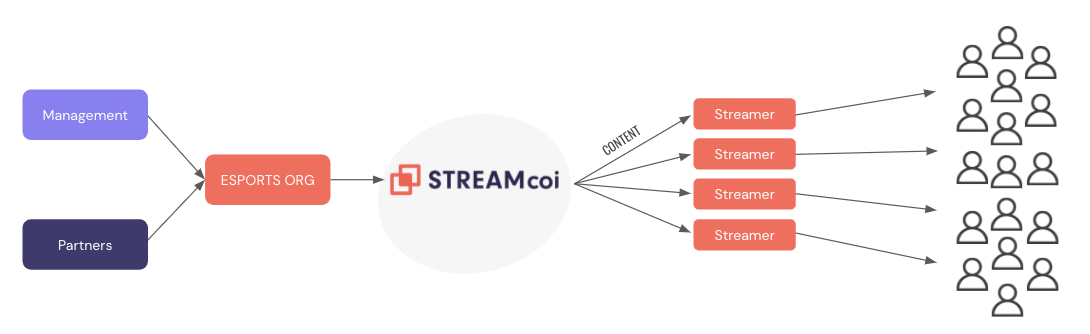 Femme Gaming | How Streamcoi Is Making Streamer Management Easier Than Ever